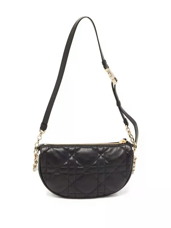 Dior 2024 Small Vibe Hobo