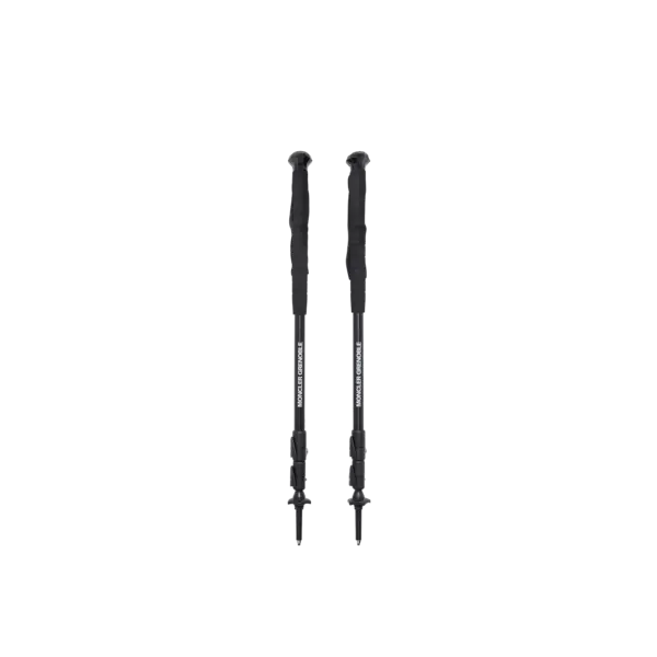 MONCLER HOUSE OF GENIUS Walking Poles