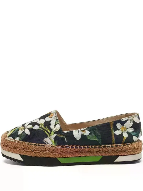 Dolce & Gabbana Floral-print Espadrilles