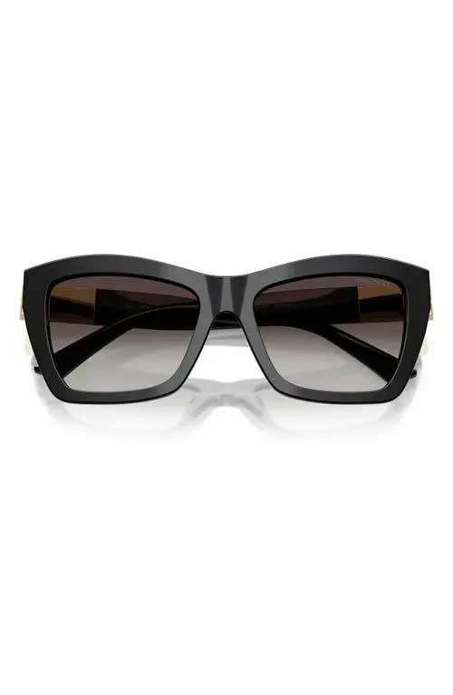 JIMMY CHOO 54mm Cat Eye Sunglasses - Black/gradient Grey