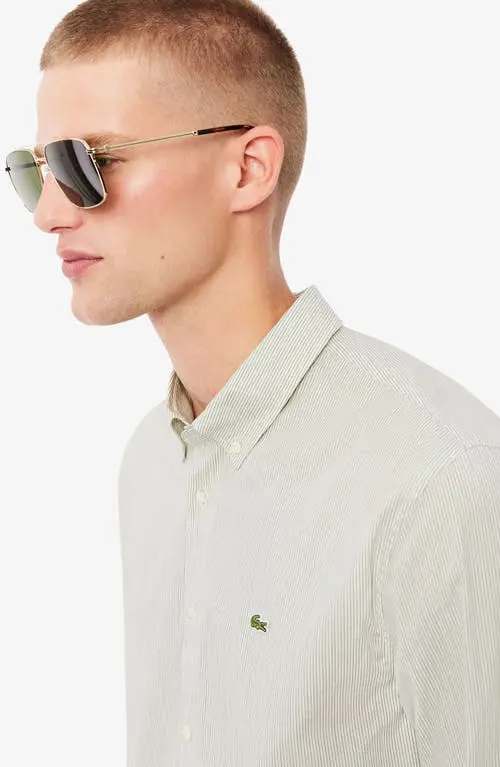 Lacoste Stripe Cotton Button-down Shirt