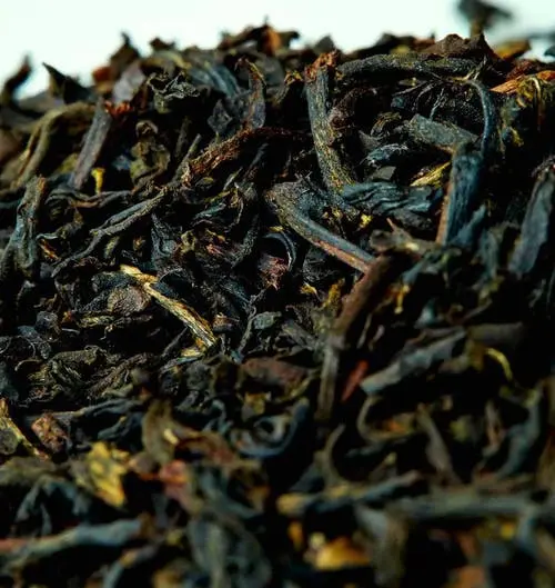 SAMOVAR TEA Earl Grey Black Tea