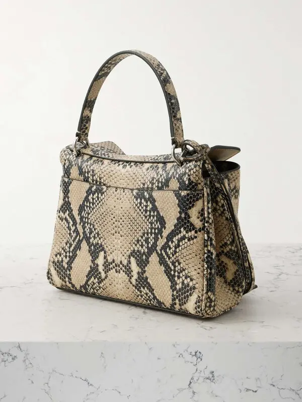Balenciaga Rodeo Mini Snake-effect Leather Tote - Snake Print