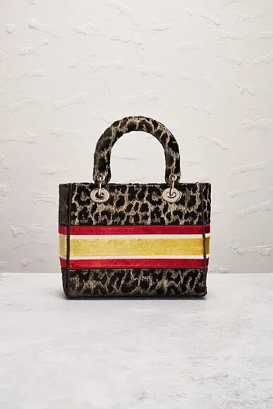 Dior Leopard Lady D-lite Handbag - Multi