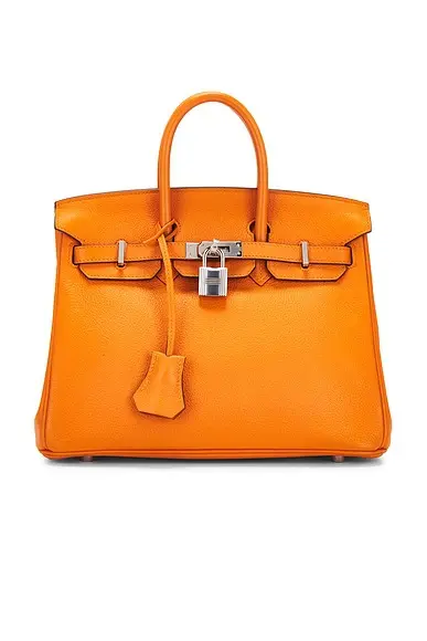 Hermès Novillo Birkin 25 Handbag