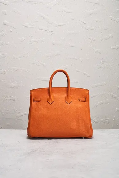 Hermès Novillo Birkin 25 Handbag