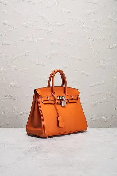 Hermès Novillo Birkin 25 Handbag