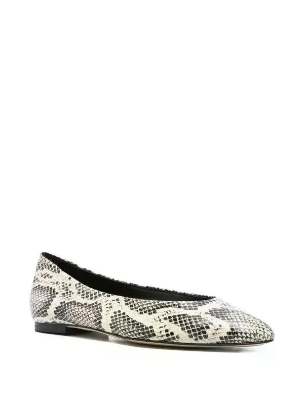 AeydĒ Leather Pointed Ballet Flats