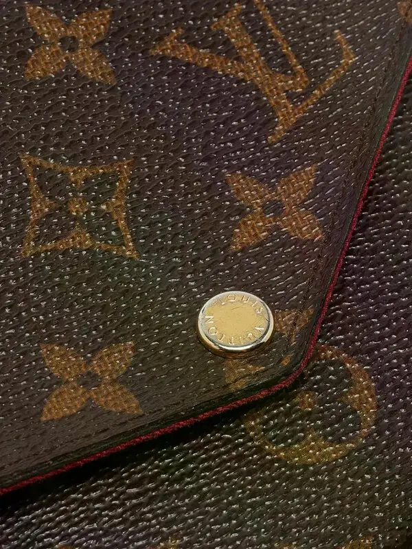 LOUIS VUITTON Felicie Pochette - Brown