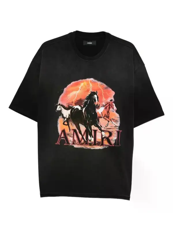 Amiri Plains Graphic T-shirt - Black
