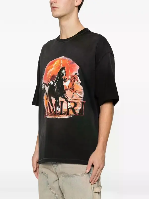 Amiri Plains Graphic T-shirt - Black
