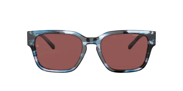 ARNETTE Type Z Sunglasses