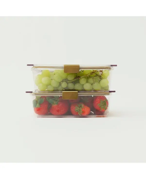 MODERN PICNIC The Large Luncher + Container