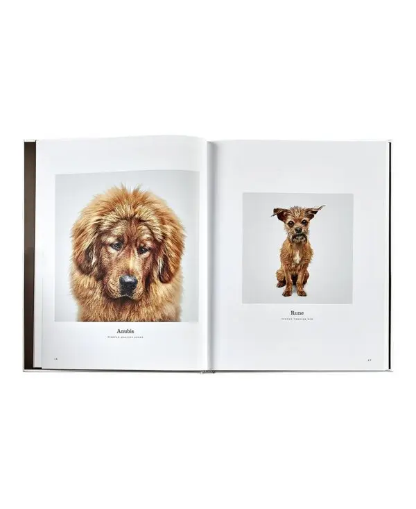 GRAPHIC IMAGE Good Dog Leather Bound Book