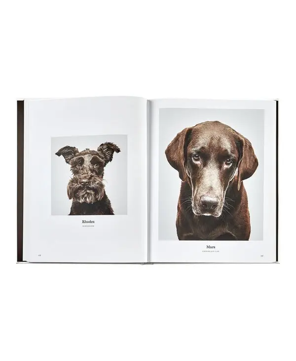 GRAPHIC IMAGE Good Dog Leather Bound Book