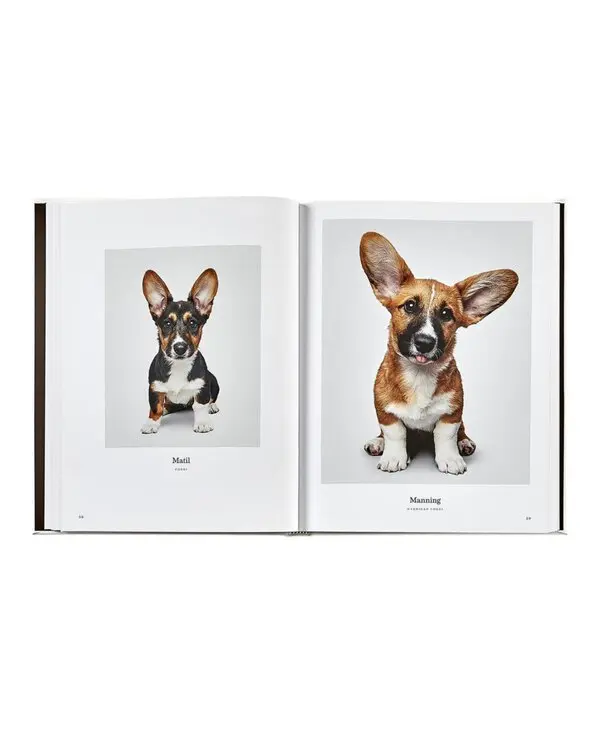 GRAPHIC IMAGE Good Dog Leather Bound Book