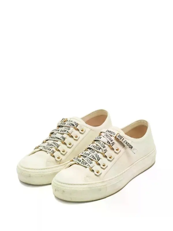 Dior Walk'n' Canvas Sneakers