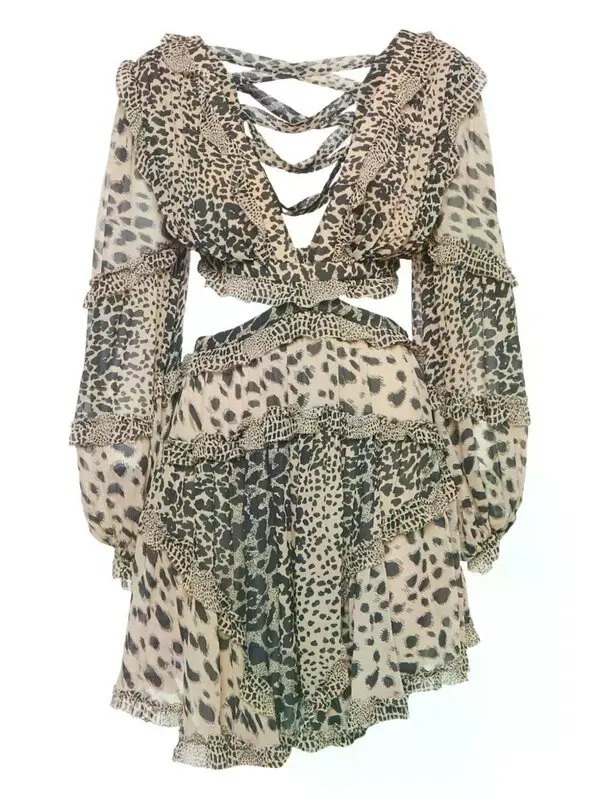 Zimmermann Leopard-print Mini Dress