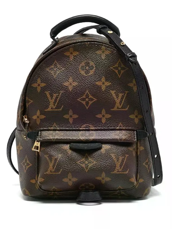 LOUIS VUITTON 2024 Palm Springs Backpack