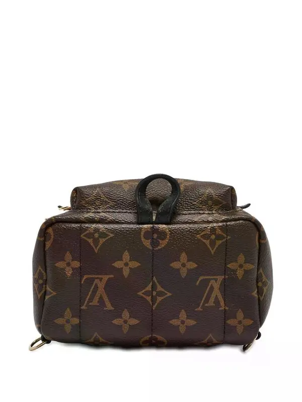 LOUIS VUITTON 2024 Palm Springs Backpack