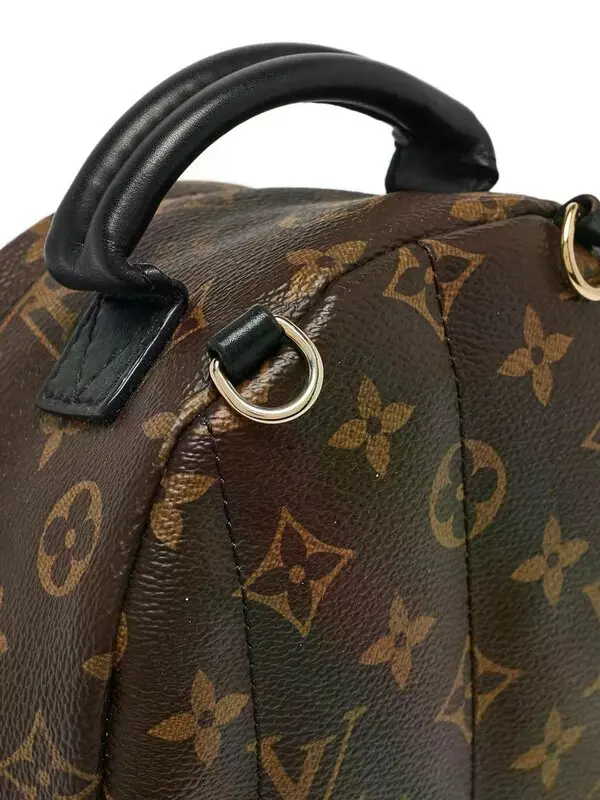 LOUIS VUITTON 2024 Palm Springs Backpack