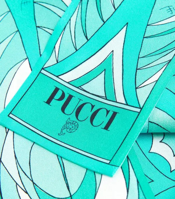 Emilio Pucci Silk Twill Volute And Collane Print Scarf