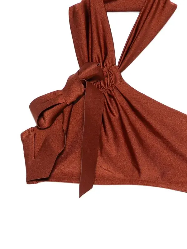 Zimmermann Awaken Bikini Set - Brown