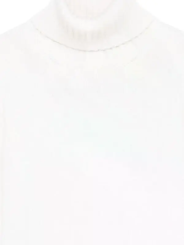 Fedeli Turtleneck Sweater