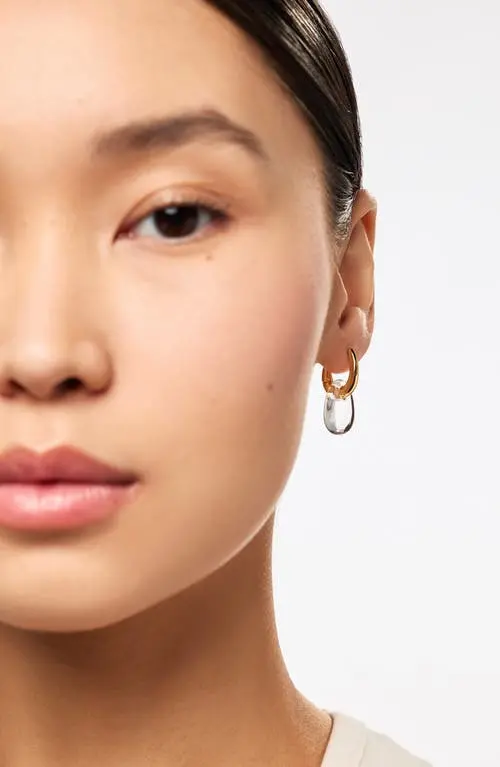ANA LUISA Drop Hoop Earrings - Gold/silver