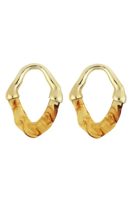 PANACEA Resin Hoop Earrings - Brown
