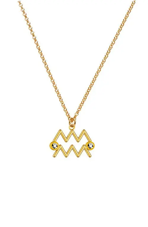 OAK & LUNA Zodiac Necklace With Moissanite In Gold Vermeil - Aquarius