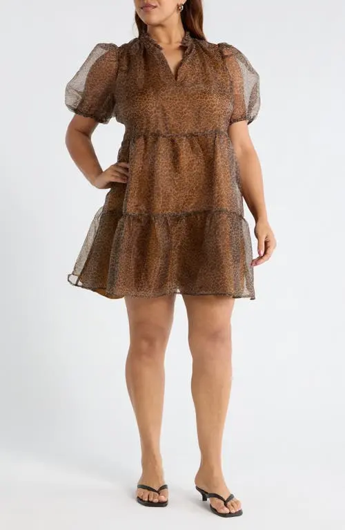 SUGARLIPS Shift Dress