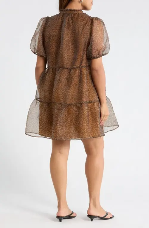 SUGARLIPS Shift Dress