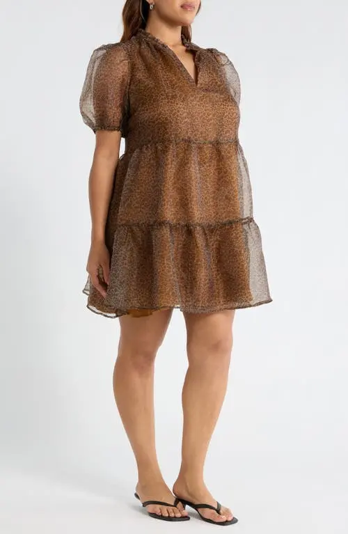SUGARLIPS Shift Dress