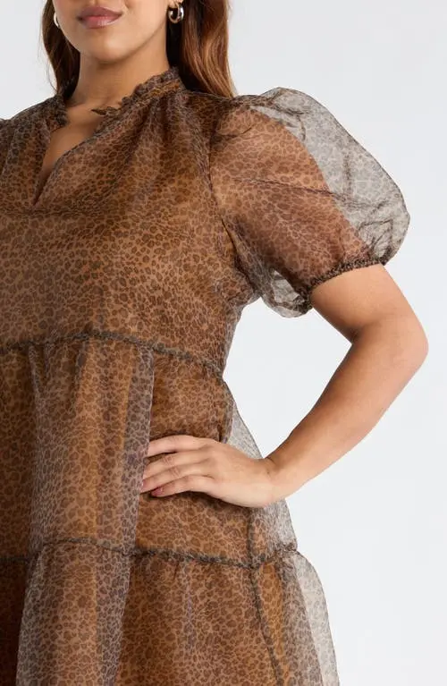 SUGARLIPS Shift Dress