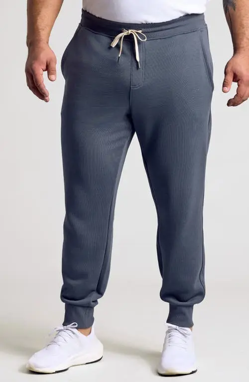 True Classic Fleece Joggers - Stormy
