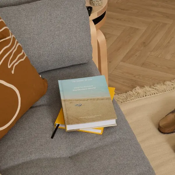THE SCHOOL OF LIFE Press: How To Survive The Modern World