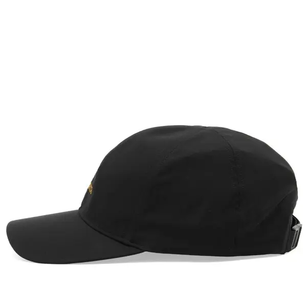 Arc'teryx Bird Word Cap