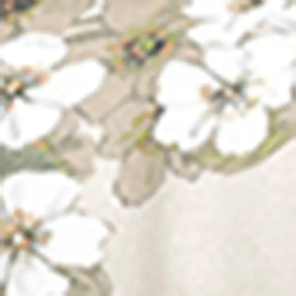 ALEXANDRE TURPAULT Organic Cotton Opera Super King Flat Sheet