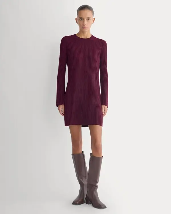 Everlane Cashmere Long-sleeve Mini Dress - Deep Plum