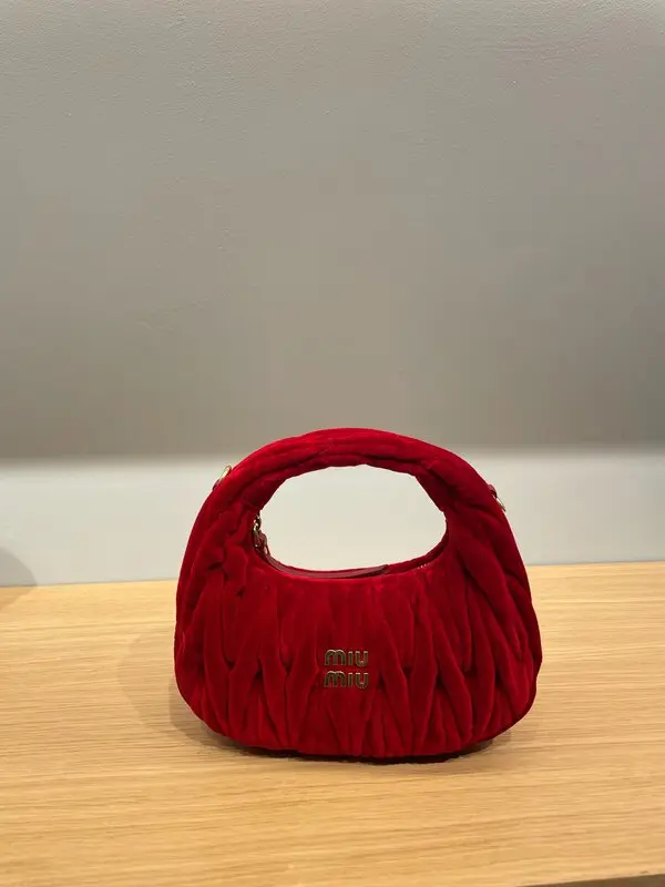 Miu Miu Mini Wander Hobo Bag