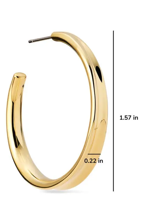 ANA LUISA Wade Large Hoop Earrings