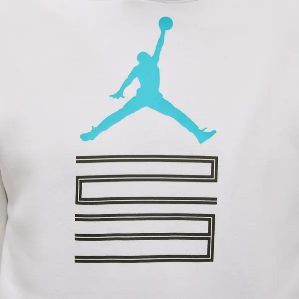 JORDAN Aj11 Gamma Fleece Pullover Hoodie