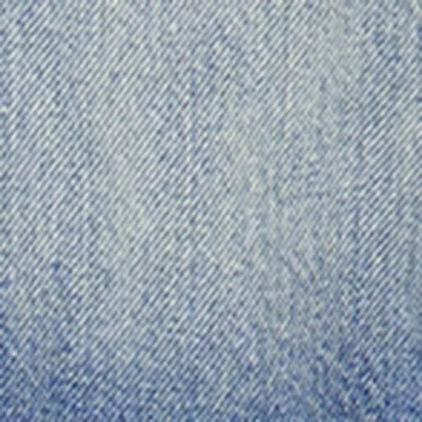 Alexander McQueen Denim Jacket