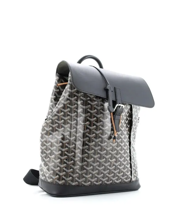 Goyard Mm Alpin Backpack Coated Canvas