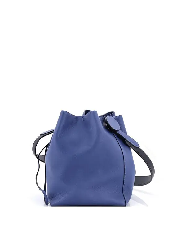 Hermès 17 Licol Bag Evercolor