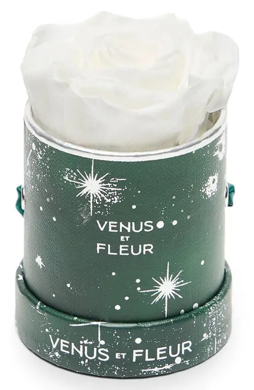 Venus Et Fleur Mini Round Holiday Zodiac Eternity Rose® - White