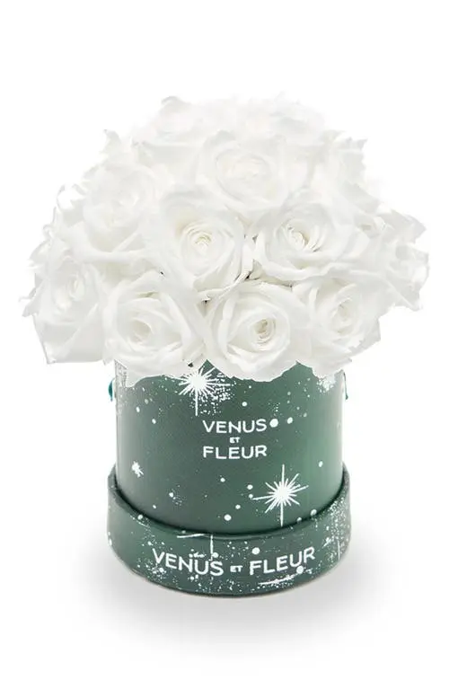 Venus Et Fleur Mini Le Plein Zodiac Eternity Roses® - White