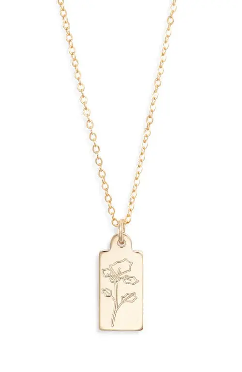 SET & STONES Tawney Birth Flower Pendant Necklace - Gold/december