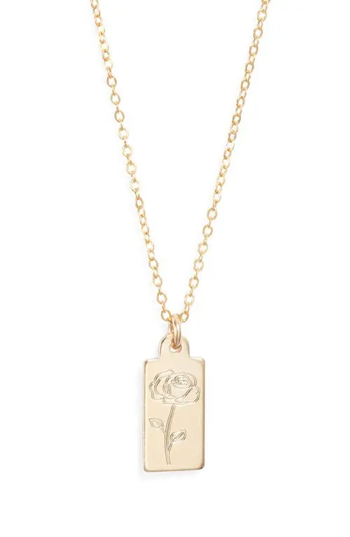 SET & STONES Tawney Birth Flower Pendant Necklace - Gold/june